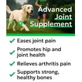Bark&Spark Dog Glucosamine Chews with Chondroitin MSM Omega-3 Fish Oil ...