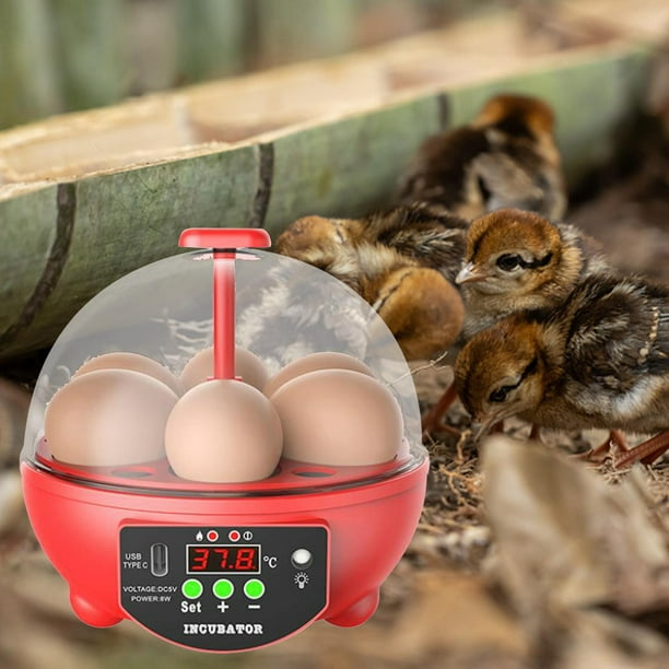 6 Eggs Incubator Temperature Control Manual Chicken er for Goose Pigeon ...