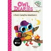 Owl Diaries: Eva at the Beach: A Branches Book (Owl Diaries #14 ...