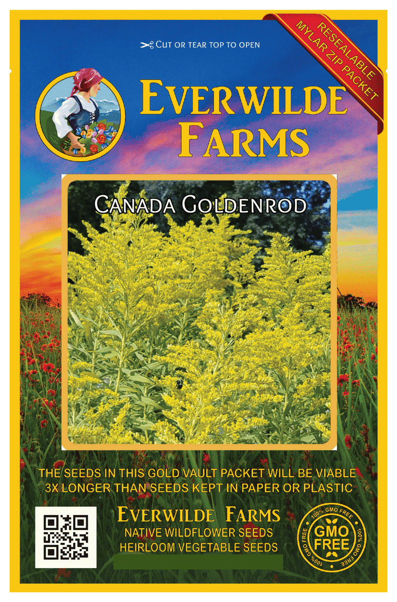 Everwilde Farms - 2000 Canada Goldenrod Native Wildflower Seeds - Gold ...