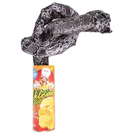 Potato Chip Snake, Canned Gift Prank Joke Funny Shocking, Canned Barrel ...