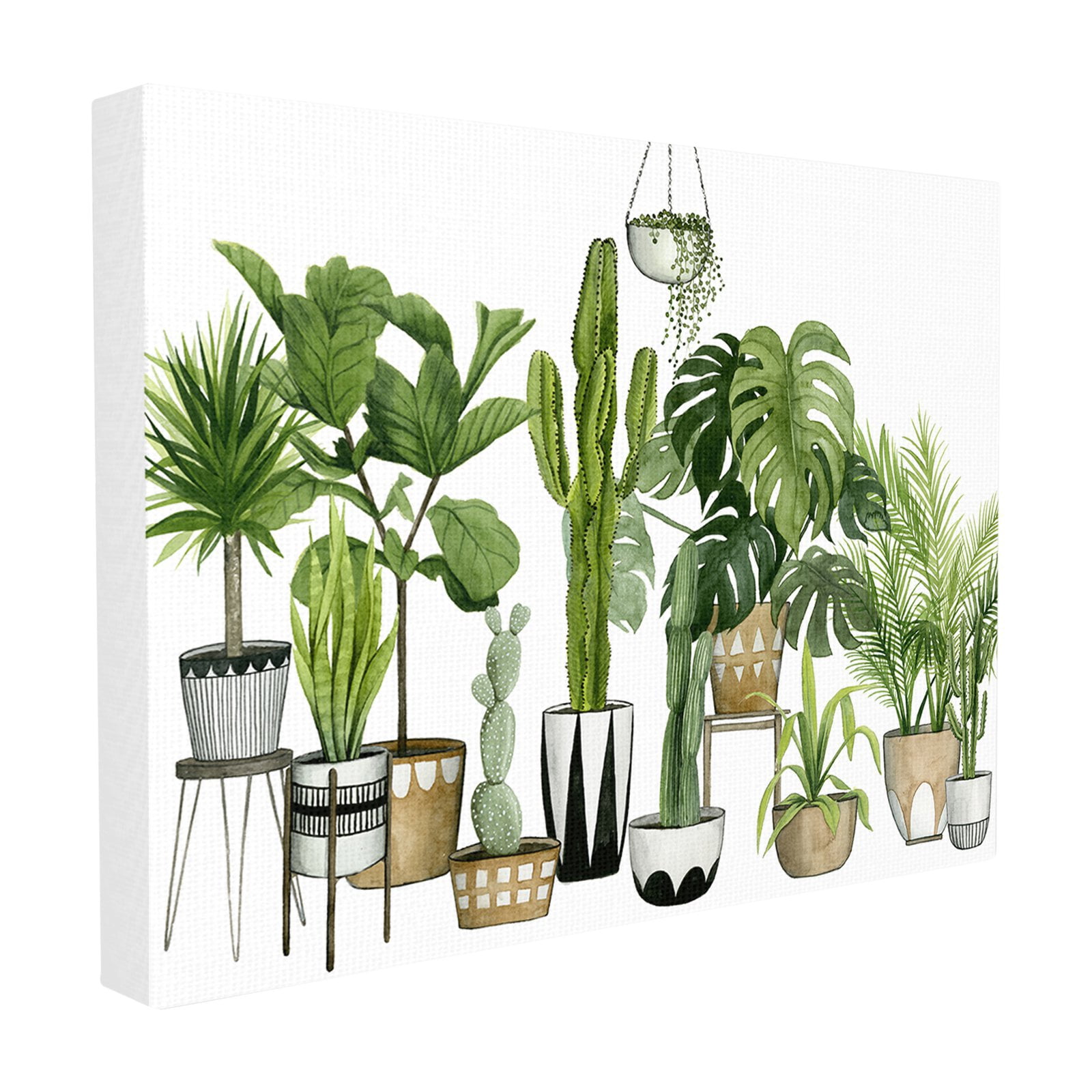 Stupell Home Décor Collection Boho Plant Scene With Cacti And ...