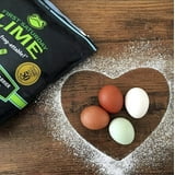 First Saturday Lime 20lb Bag pest and odor control for homes, gardens ...