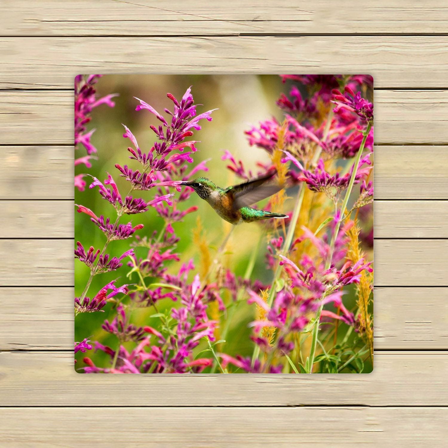 ZKGK Hummingbird Hand Towel Bath Towels Beach Towel For Home Outdoor ...