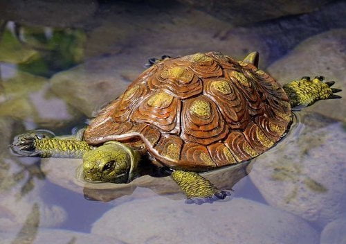 Gift Craft 7” Poly Resin Turtle Floatie, Small, Green/Brown - Walmart.com