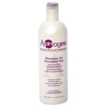 ApHOGEE Deep Moisture Shampoo for Hair Care, Replenishes and Refreshes ...