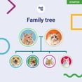 tellmeGen DNA Test for Cats, Starter Range, Breeds Traits Reports, All ...