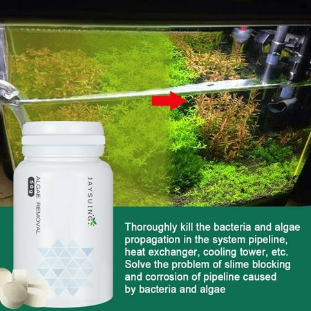 Algaecide Powder/Tablet for Aquarium Indoor Pool Fish Bowl Lichen ...
