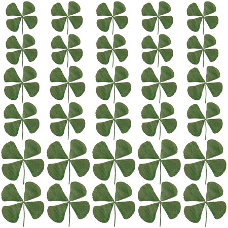 Real Natural Dried Leaves Pressed Dried Shamrock Four-Leaf Dried Leaves ...