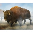 CollectA Wildlife Collection Miniature Figure | American Bison ...