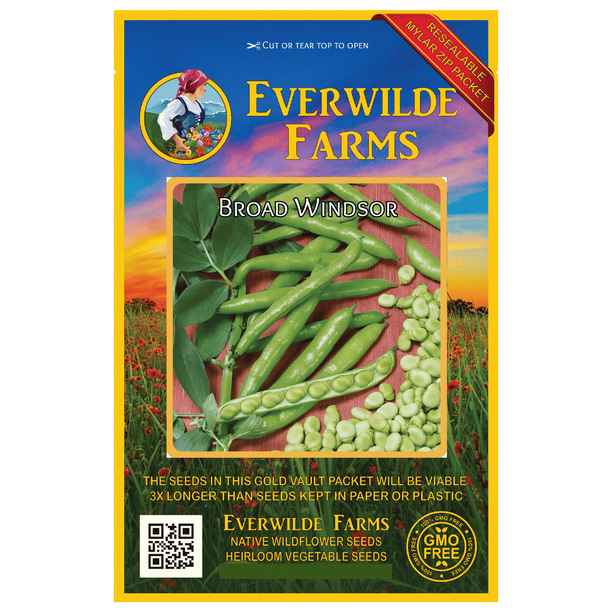 Everwilde Farms - 20 Broad Windsor Fava Bean Seeds - Gold Vault Jumbo ...