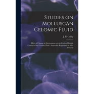 Flashback Mechanisms in Lean Premixed Gas Turbine Combustion (Paperback) - Walmart.com