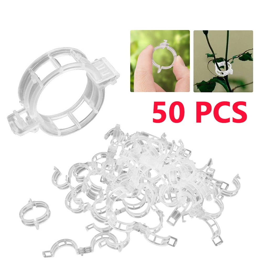 TASHHAR Garden Plant Support Clips 50 Pcs Plastic Tomato Vine and ...