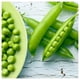 Everwilde Farms - 1/4 lb Mr Big Pea Garden Pea Seeds - Gold Vault Bulk ...