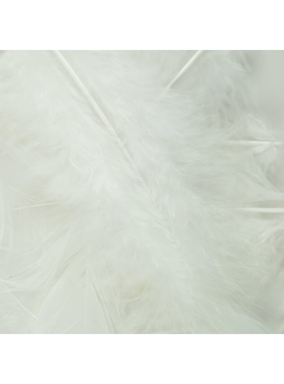 Craft Feathers in Basic Craft Supplies - Walmart.com