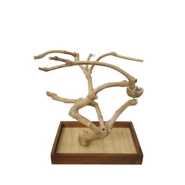 Prevue Pet Products Coffeawood Java Tree, Medium - Walmart.com