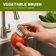 Fruit and Vegetable Cleaning Brush Set of 2, Natural Sisal and Palm ...