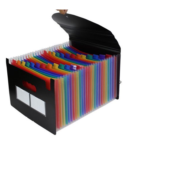 Alphabetical File Organizer