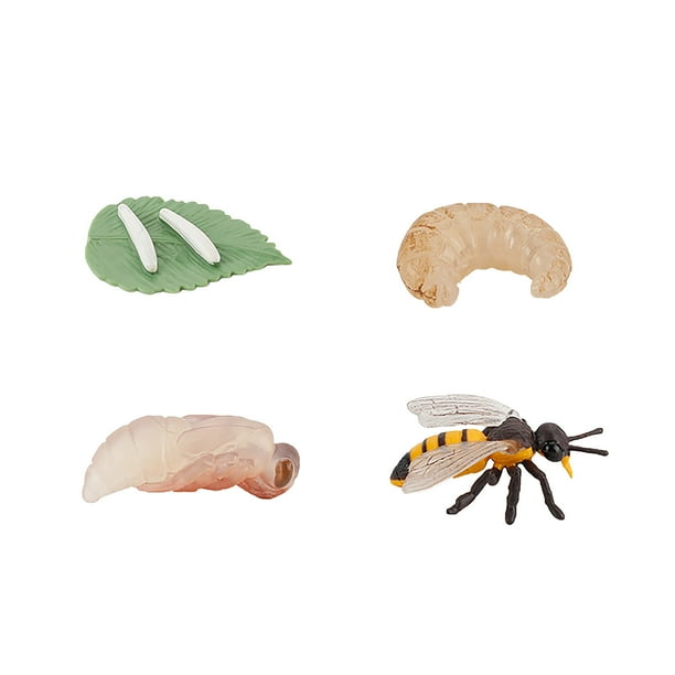 Dvkptbk 4 Piece Insect Figure Insect Life Cycle Plastic Brood To Mature ...