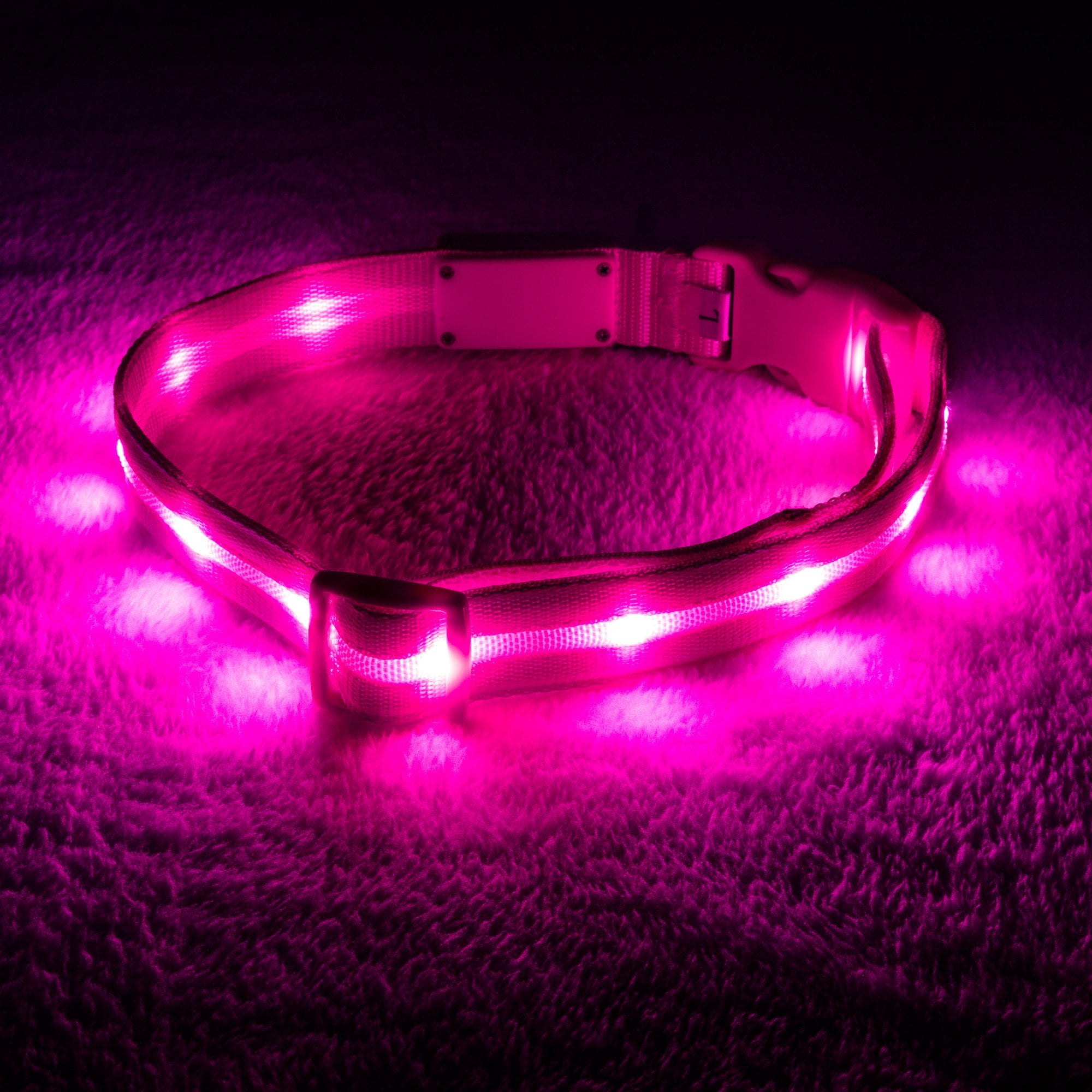 Blazin' Safety Rechargeable Light Up Dog Collars (Small, Pink ...