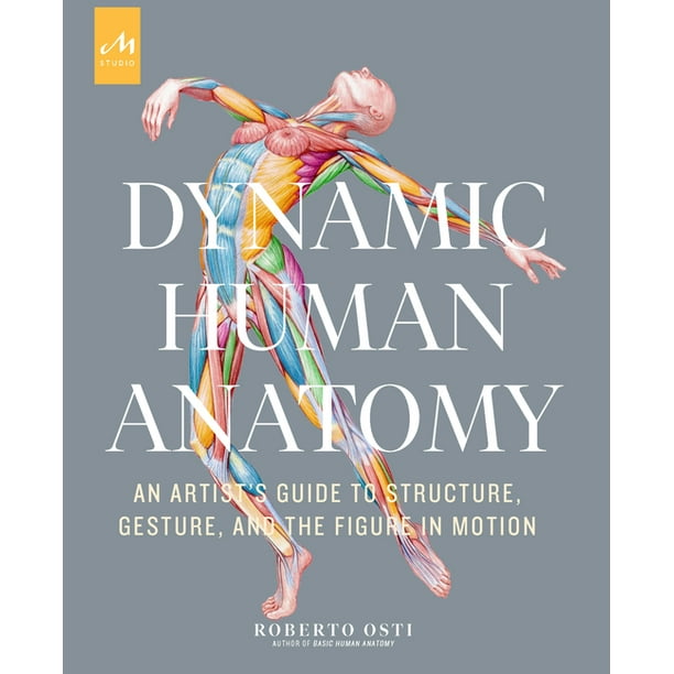 Dynamic Human Anatomy : An Artist's Guide to Structure, Gesture, and ...