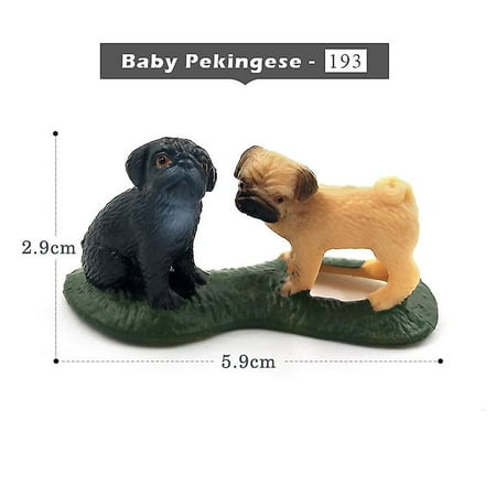 Komodo Dragon Wolf Dog Cat Sloth Rabbit Lizard Parrot Cormorant Fox/40 ...