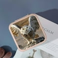 BCIIG Owl Wings Rock Travel Jewelry Box for Necklaces Rings Earrings ...