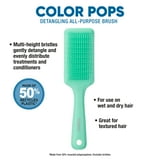 Conair Color Pops Detangling All-Purpose Hair Brush Green for textured ...