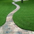 St. Augustine 'Seville' Sod - 9 Live Plugs - Drought, Salt & Shade ...