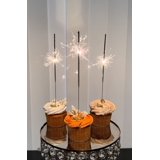 VIP 10-Inch Wedding Sparklers Bulk Pack - 48pc Fireworks for Romantic ...