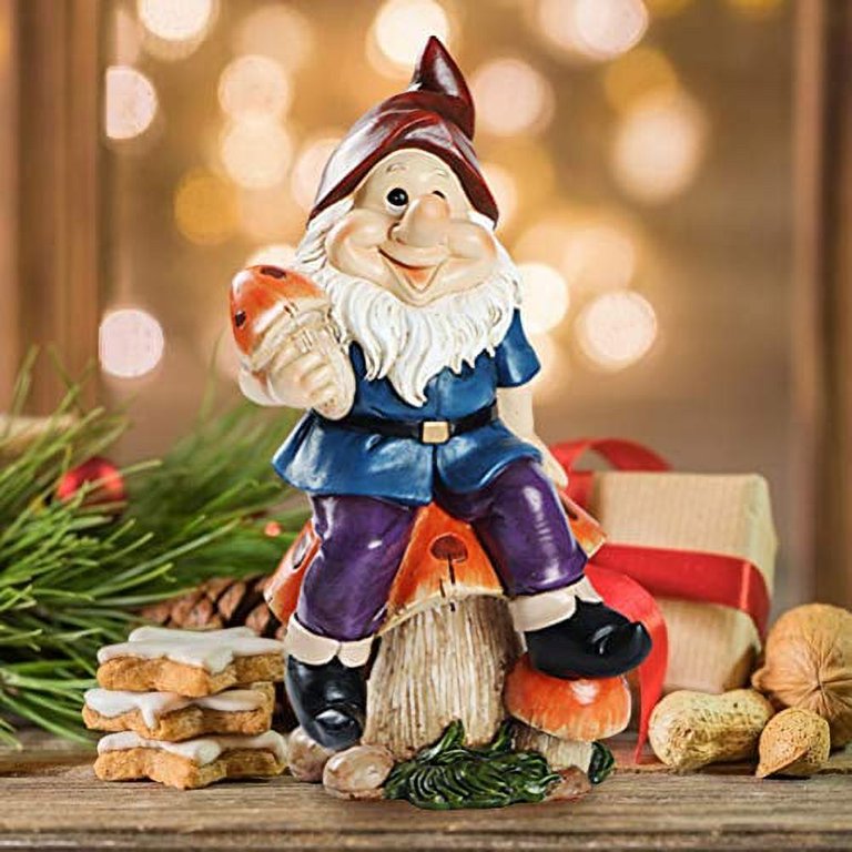 Rude Garden Gnomes | Fasci Garden
