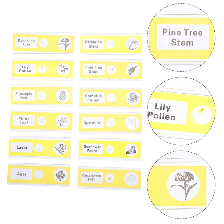 Pollen Microscope Slides