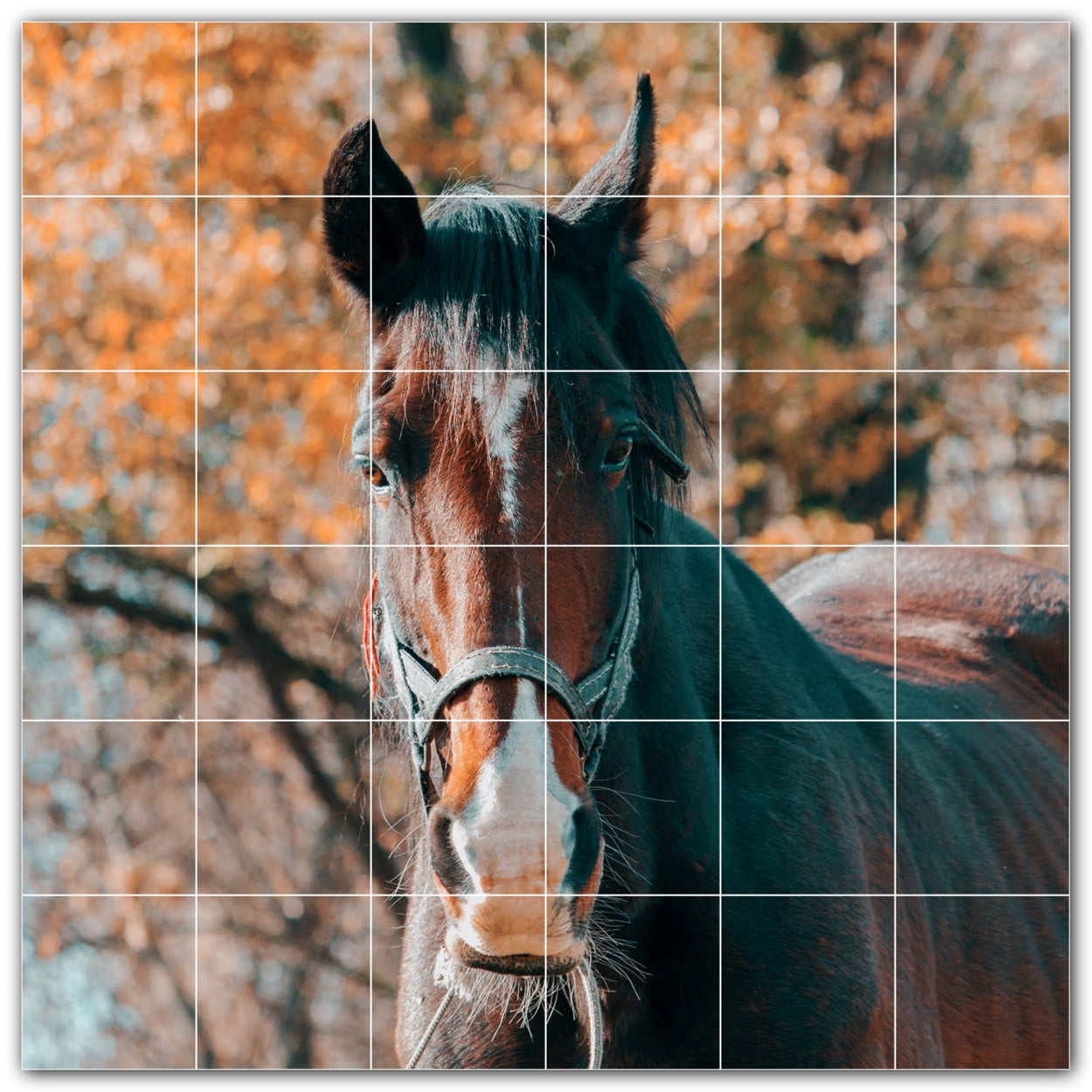 Picture-Tiles.com: Horse Ceramic Tile Wall Mural WAL500772-66XL. 72"W x ...