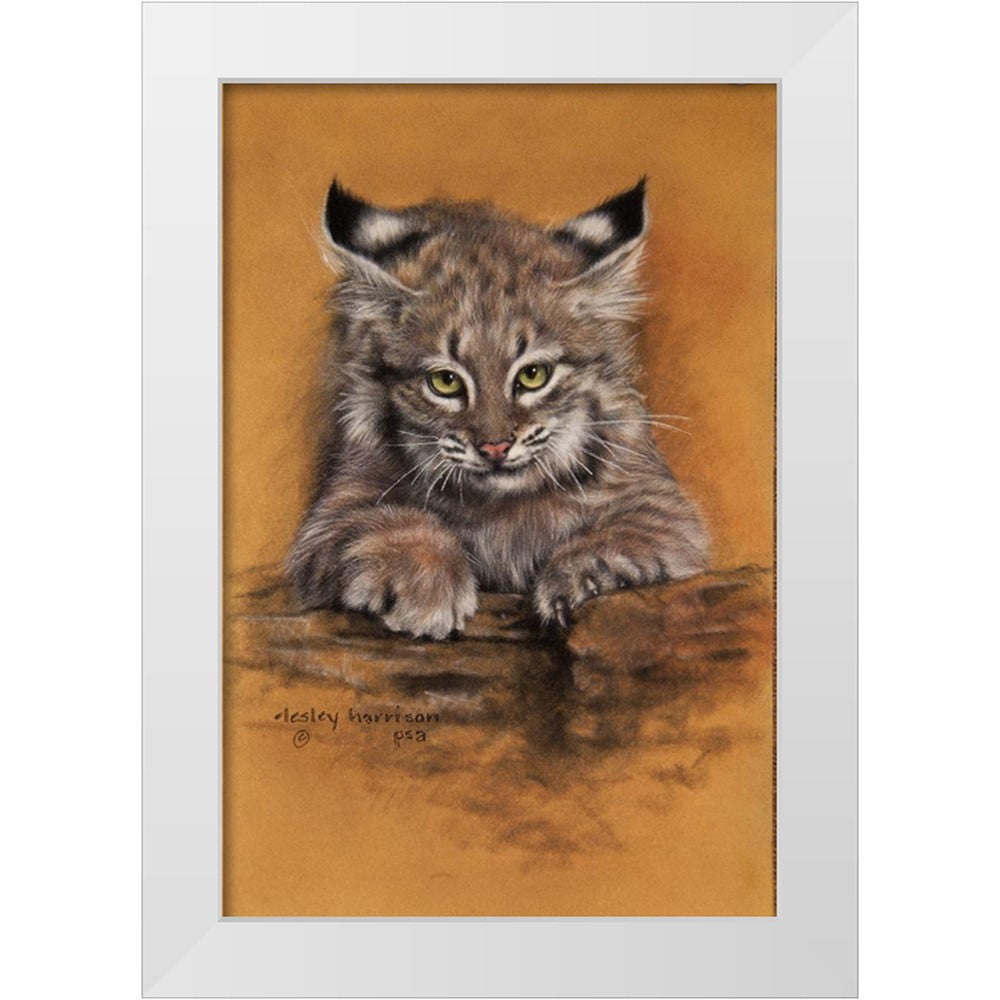 Harrison, Lesley 23x32 White Modern Wood Framed Museum Art Print Titled ...