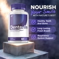 Dentavim Dental Support Capsules, Dentavim Natural Tooth & Gum ...