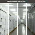 Luxrite 2 ft Slim LED Shop Light, 20W, 2600 Lumens, 3CCT 3500K-5000K, 0 ...