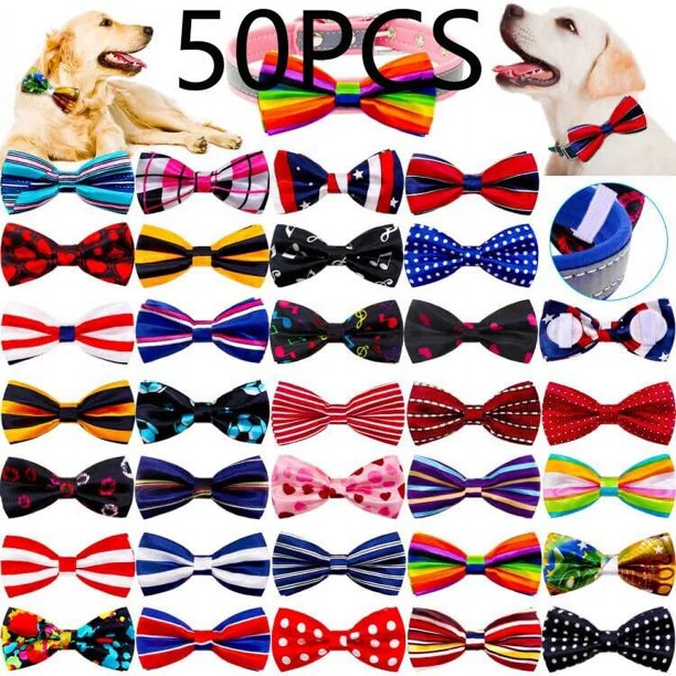 Pet dog accessories store