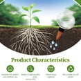 3Pcs Plant Watering Globes Set Watering Globes for Indoor Plant Flowers ...