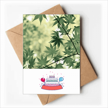 Maple Picture Nature Happy Birthday Greeting Cards Envelopes Blank ...