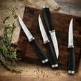 Hampton Forge™ Epicure Stainless Steel Steak Knife Set (4-Piece ...