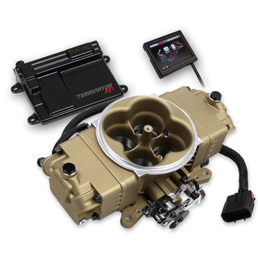 Holley EFI 550-613 Fuel Injection System - Walmart.com