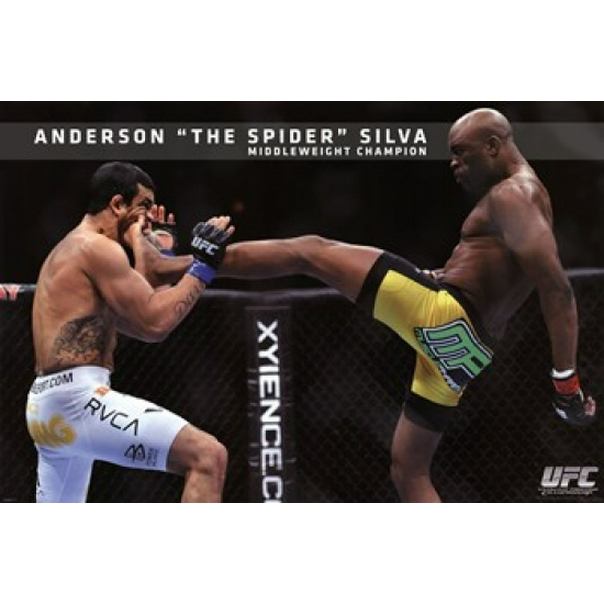 Anderson The Spider Silva Logo