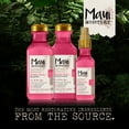 Maui Moisture Conditioner Lightweight Hydration, Aloe Quench, Softening ...