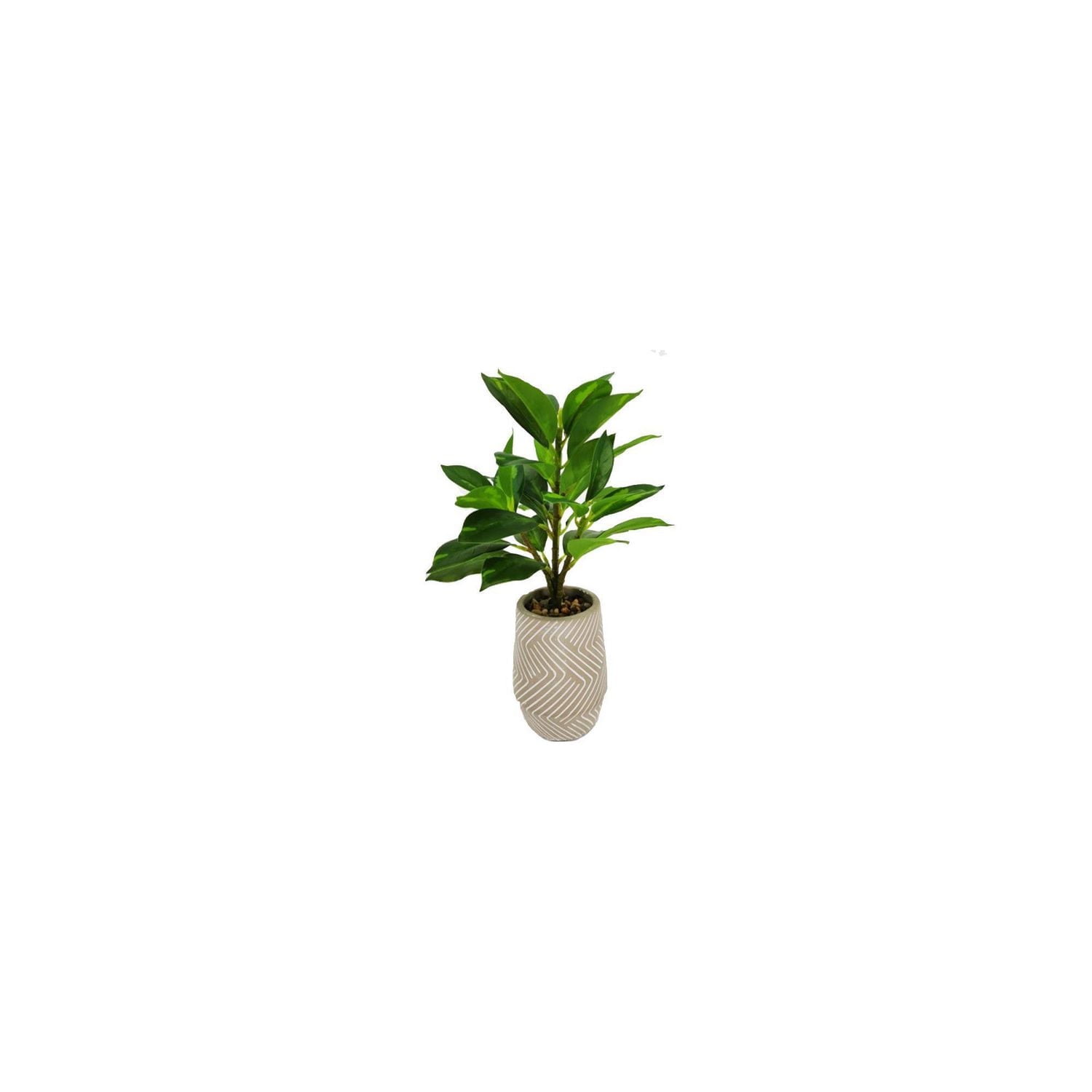 Click here for Lerman Decor Inc Lerman Decors Slim Plant In Zigza... prices