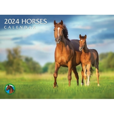 Smith-Southwestern, Horses 2025 Wall Calendar - Walmart.com