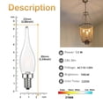 C22 LED Light Bulb, E12 Base, 1.5W, 2700K Soft White, Non-Dimmable ...