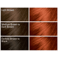 SoftSheen-Carson Dark & Lovely Fade Resist Hair Color, 394 Vivacious ...