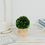 BOXWOOD WORLD Preserved Boxwood Ball Topiary for House Decor Potted ...