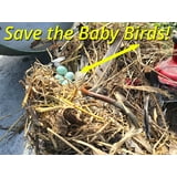 Propane Tank Dome Seals, Flexible Rubber Vent hole cover protection ...