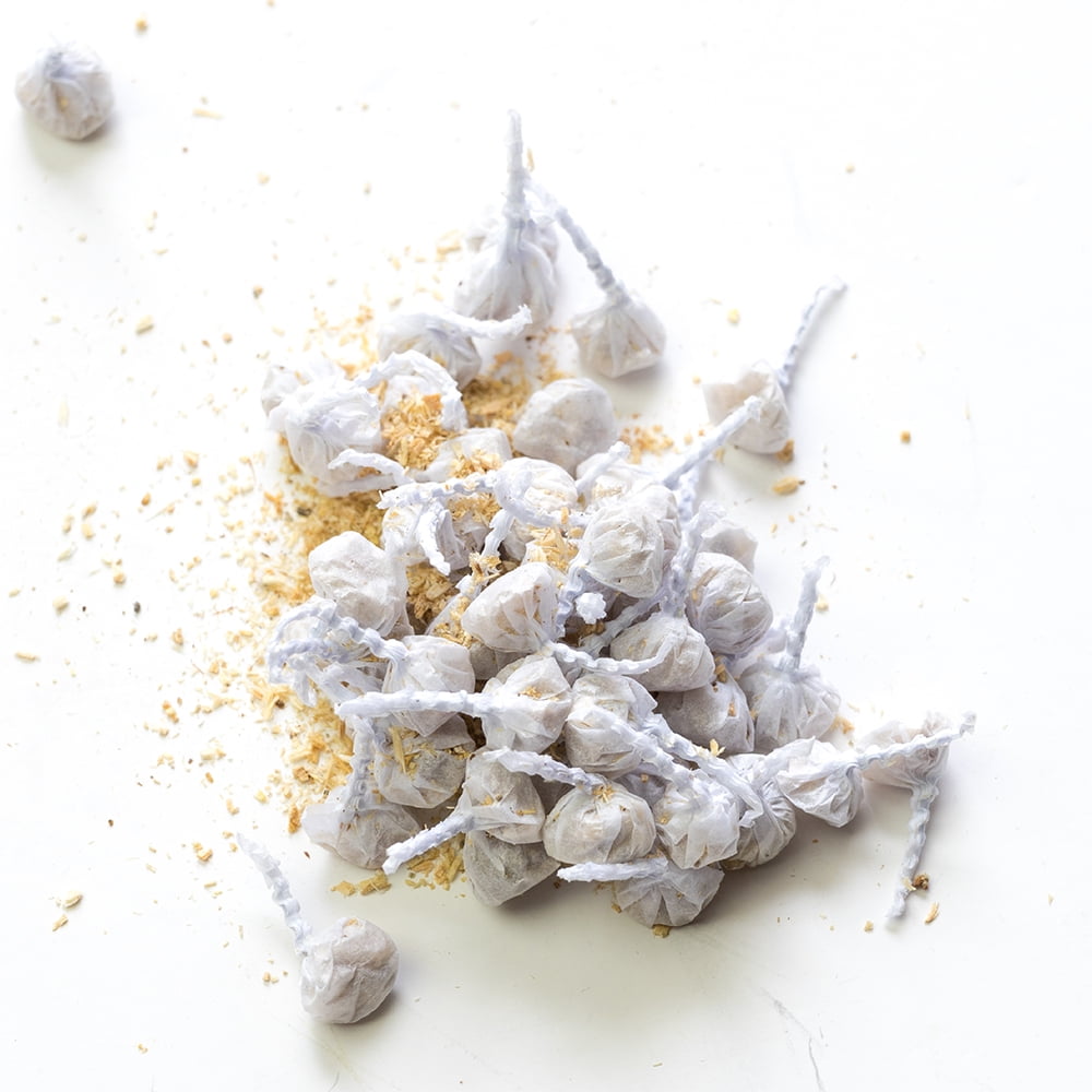 TNT POP-ITS Pop Pop Party Snaps Trick Noise Maker, Australia | Ubuy